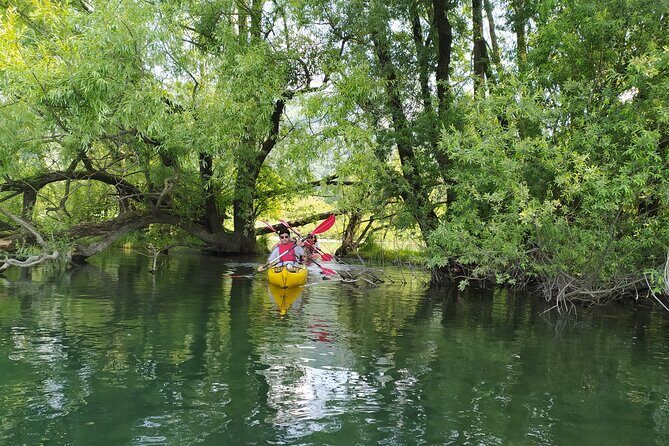 Kayak trip on Adda River North Park - The Sum Up: Why This Kayak Tour Is a Great Choice