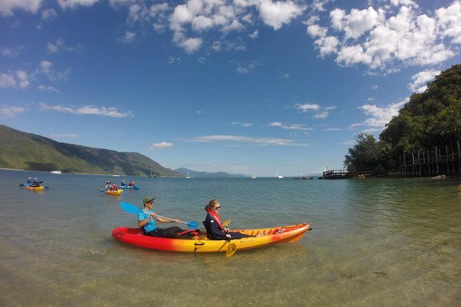 Kayak Turtle Tour from Palm Cove - What to Expect on Your Kayak Adventure