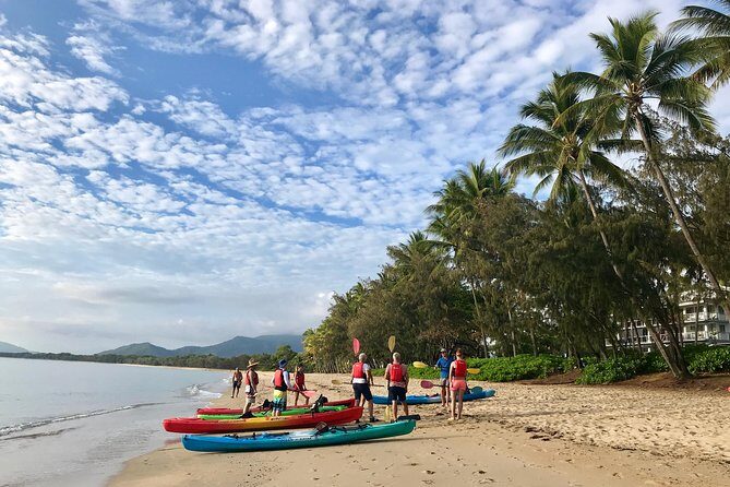 Kayak Turtle Tour from Palm Cove - Why This Tour Stands Out