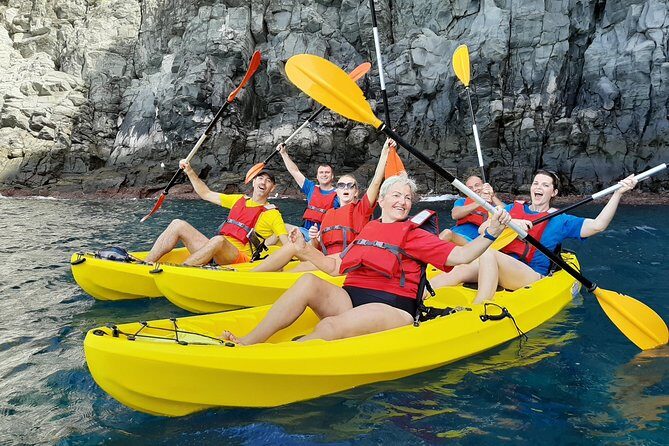 Kayak with Dolphin & Turtle Watching Private Tour - What to Expect from the Kayak with Dolphin & Turtle Watching Private Tour