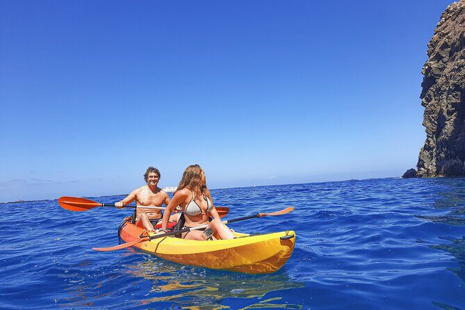 Kayak with Dolphin & Turtle Watching Private Tour - Itinerary Breakdown and Highlights