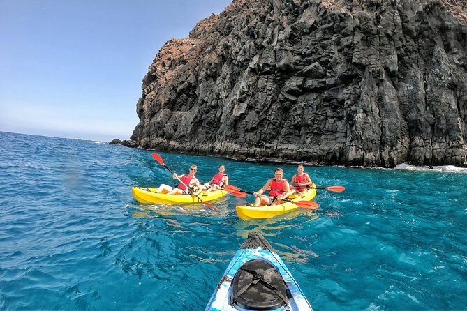 Kayak with Dolphin & Turtle Watching Private Tour - The Sum Up