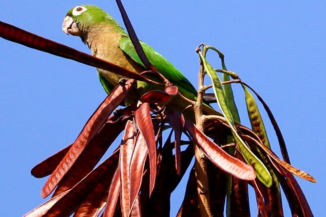 Kayaking Adventure at the Nichupte Lagoon in Cancun - An In-Depth Look at the Kayaking Tour in Nichupte Lagoon