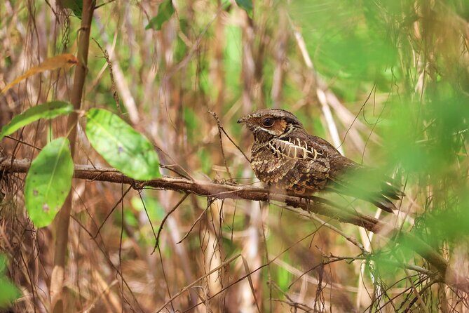 Kayaking Adventure at the Nichupte Lagoon in Cancun - FAQ