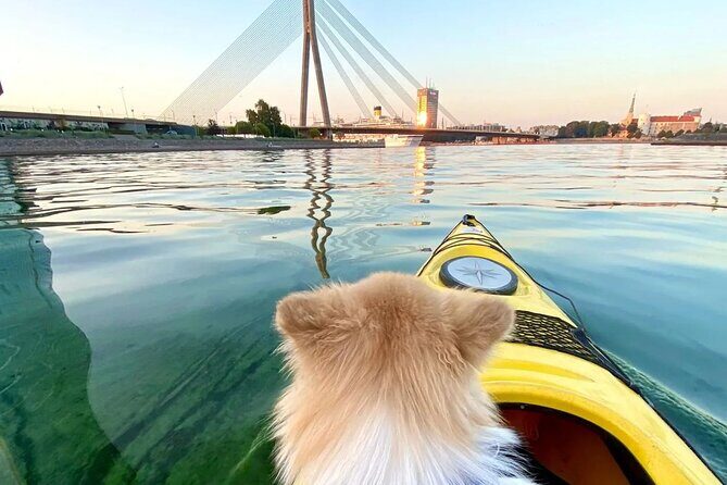 Kayaking Adventure in Riga - Who This Tour Is Perfect For