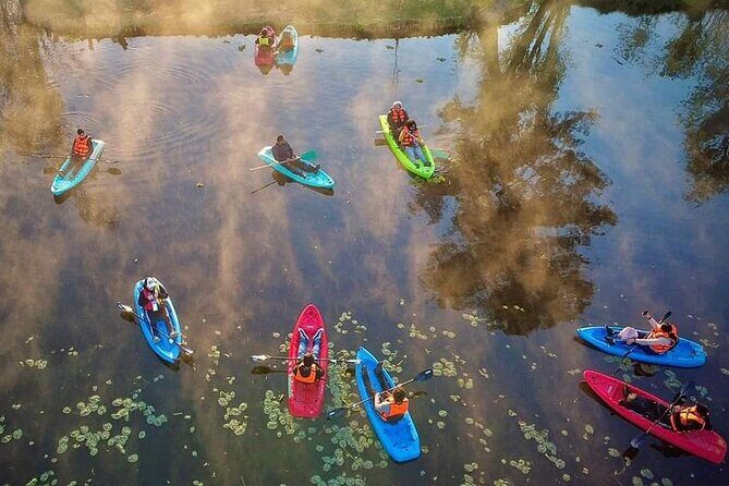 Kayaking adventure through the Xochimilco and Frida Kahlo Canals - Introduction