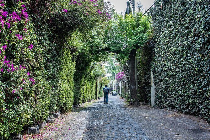 Kayaking adventure through the Xochimilco and Frida Kahlo Canals - The San Angel Neighborhood: A Cultural Gem