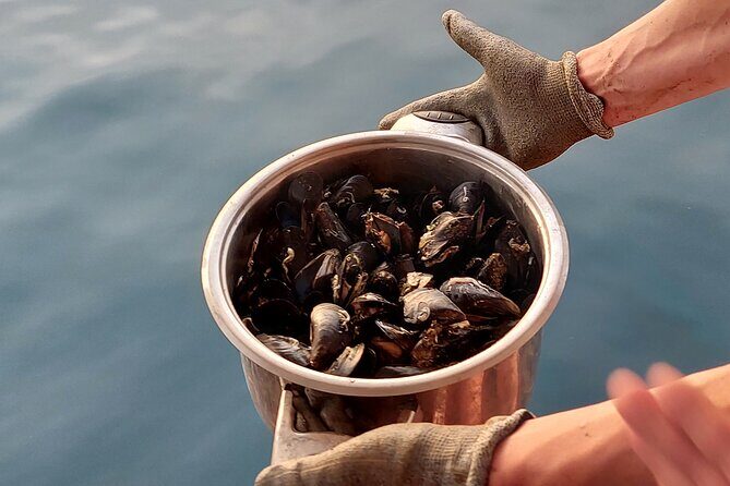 Kayaking and mussels tasting at Krka River estuary-private tours - Who Would Love This Tour?