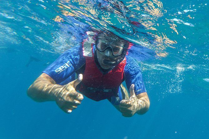 Kayaking and snorkeling - FAQs