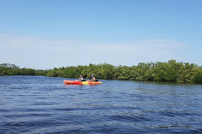 Kayaking Backwaters of New Smyrna Beach Ecotour/Birdwatching - An In-Depth Look at the Kayaking Ecotour Experience