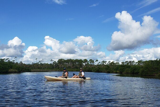 Kayaking Backwaters of New Smyrna Beach Ecotour/Birdwatching - FAQ