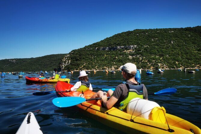 Kayaking Experience in Lim Bay Sea in The Croatian Fjord - Authentic Experiences and Unique Insights from Reviews