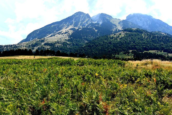 Kayaking in Berat,Tomori Lake & Jeep Safari -ARG - Understanding the Itinerary in Detail