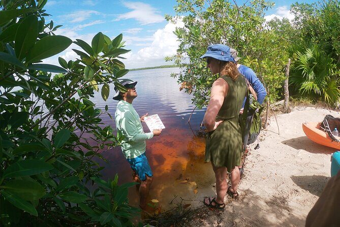Kayaking in the Mangroves Experience - Cultural Connection and Support for Local Families