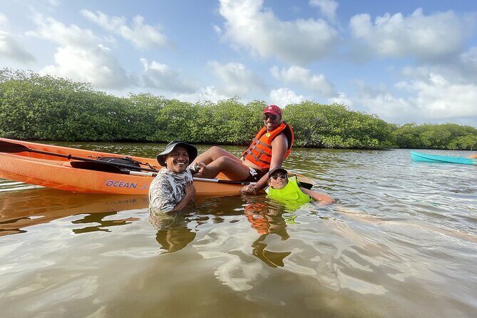 Kayaking in the Mangroves Experience - What the Experience Feels Like