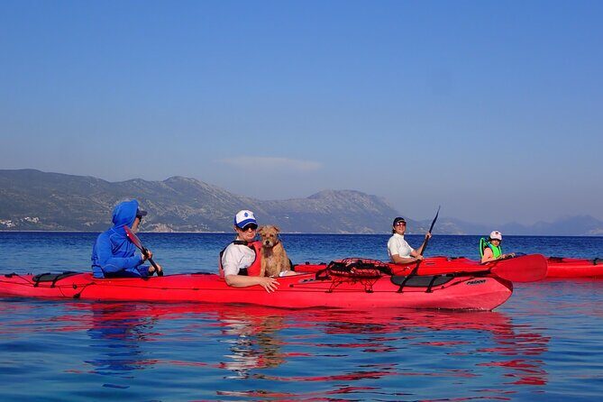 Kayaking Korula's Paradise -Half Day Guided Kayak Tour - FAQ