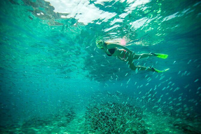 Kayaking & Snorkeling in the Spectacular Waters of Los Cabos - FAQ