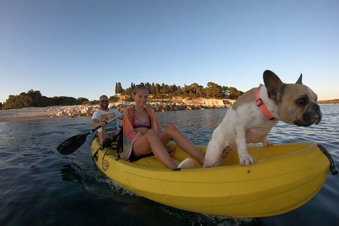 Kayaking to Island Saint Jerolim with snorkeling activitie - What Makes This Tour Stand Out?