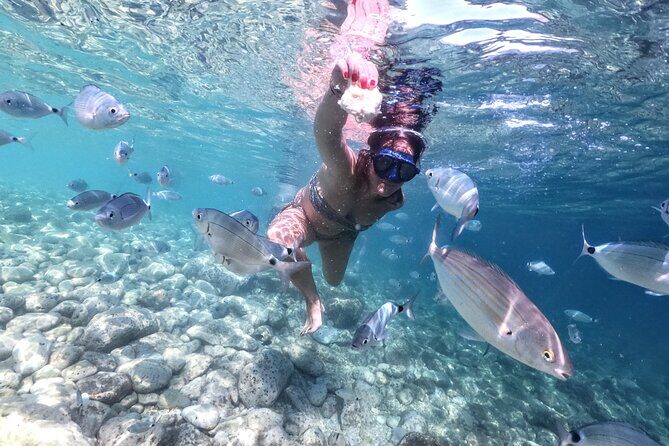 Kayaking to Island Saint Jerolim with snorkeling activitie - Authentic Experiences from Reviews