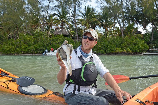 Kayaking with coastal wildlife in Sarasota Bay - The Experience of the Guides