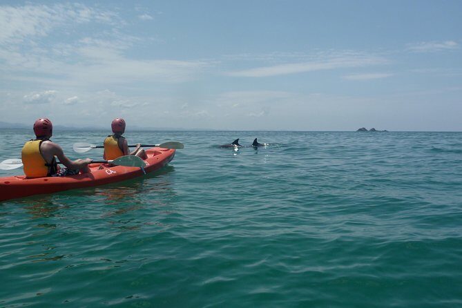 Kayaking with Dolphins in Byron Bay Guided Tour - The Value of the Experience