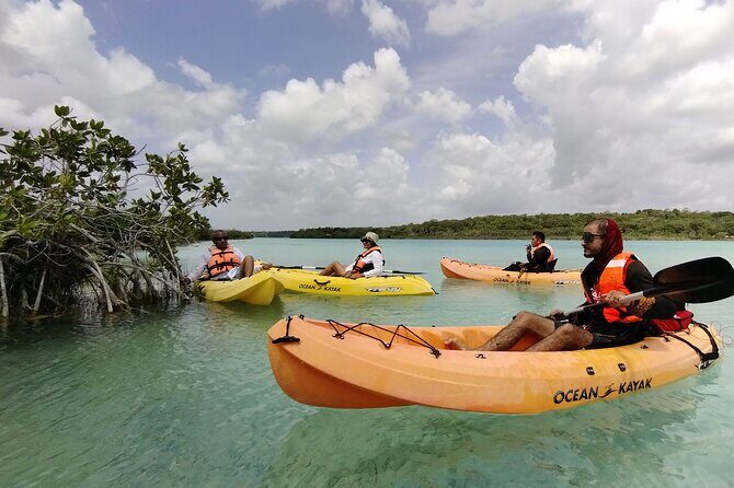 Kayak's & Adventure at Bacalar Lagoon! Round Transportation From Riviera Maya - Who Is This Tour Best For?