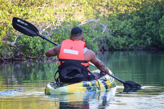 Kayaks at the Mangroves Lagoon Ecosystem from Cancun - Final Thoughts: Is It Worth It?