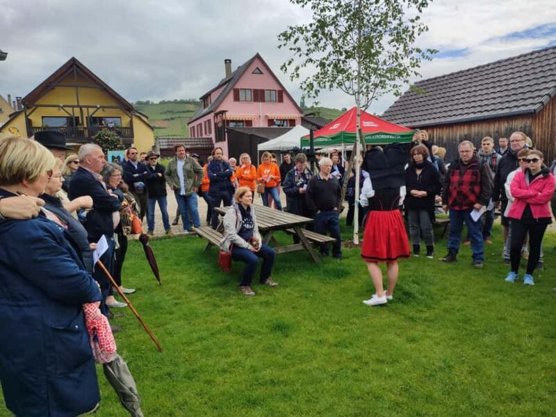 Kaysersberg Vineyard Discover the vineyard and wine, Domaine Meyer-Krumb - Practical Details & Tips