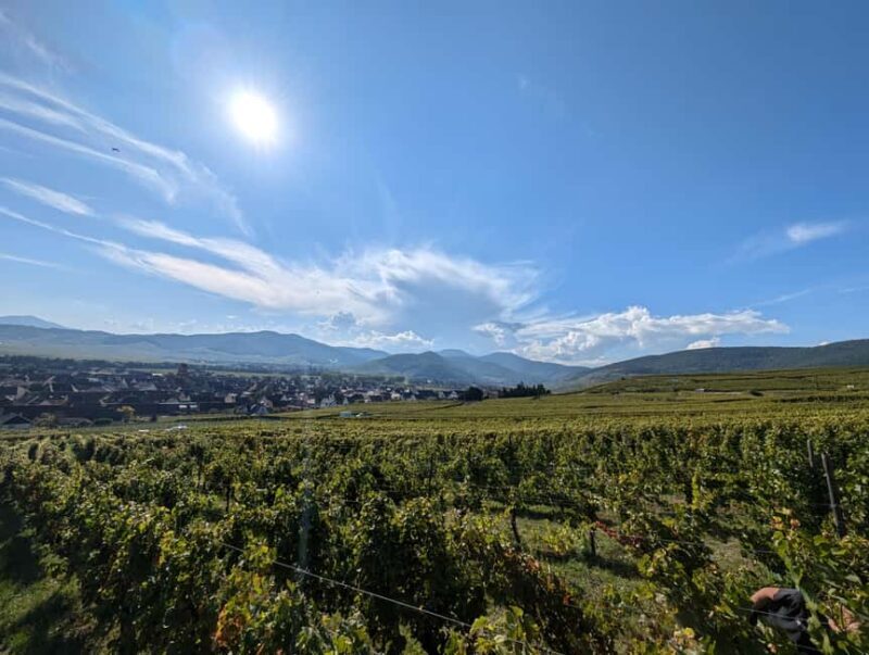 Kaysersberg Vineyard Discover the vineyard and wine, Domaine Meyer-Krumb - The Sum Up: Who Should Consider This Tour?
