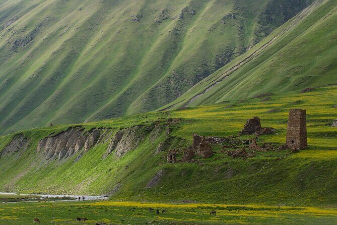 Kazbegi - One Day Private Trekking Tour to Truso Valley - What Reviewers Loved Most
