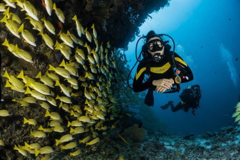 Kefalonia: Beginner Scuba Diving at Agia Efimia Village - Kefalonia: Beginner Scuba Diving at Agia Efimia Village