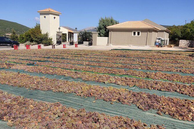 Kefalonia Half Day Private Tour & Shore Excursion - FAQs