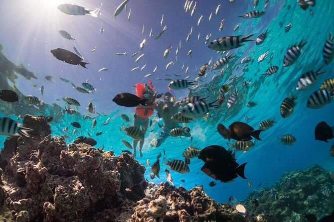 Keishi Tour Half Day Shared Excursion - Key Points