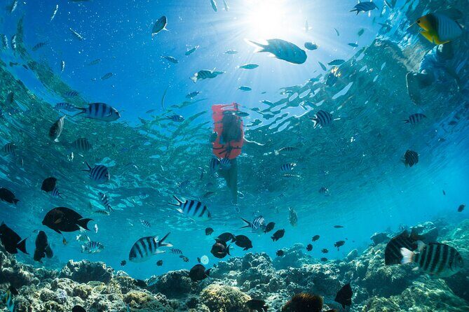 Keishi Tour Half Day Shared Excursion - The Sum Up