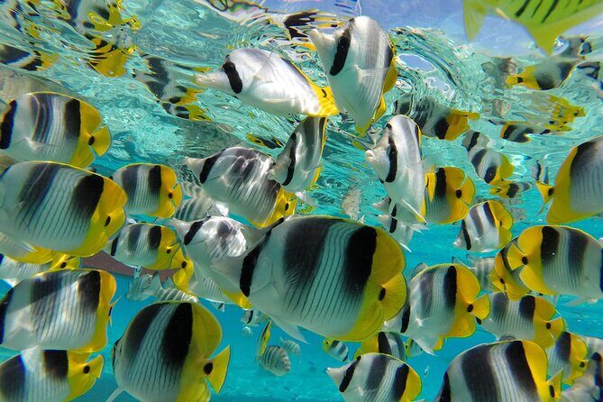 Keishi Tour Half Day Shared Excursion - FAQ