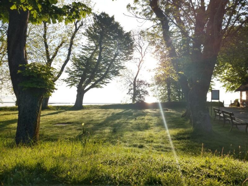 Keitum: Guided Village Walking Tour - Who Should Consider This Tour?