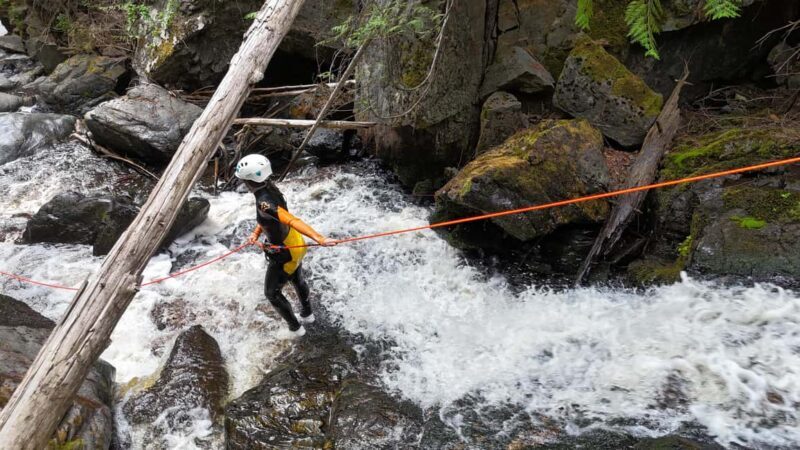 Kelowna: Adventure Canyoning Tour - Key Points