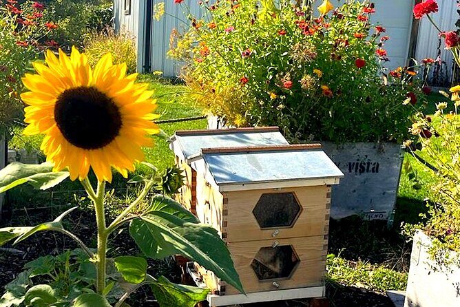 Kelowna E-Bike Bee Tour, Tastings, Organic Lunch & Audio Guide - FAQ