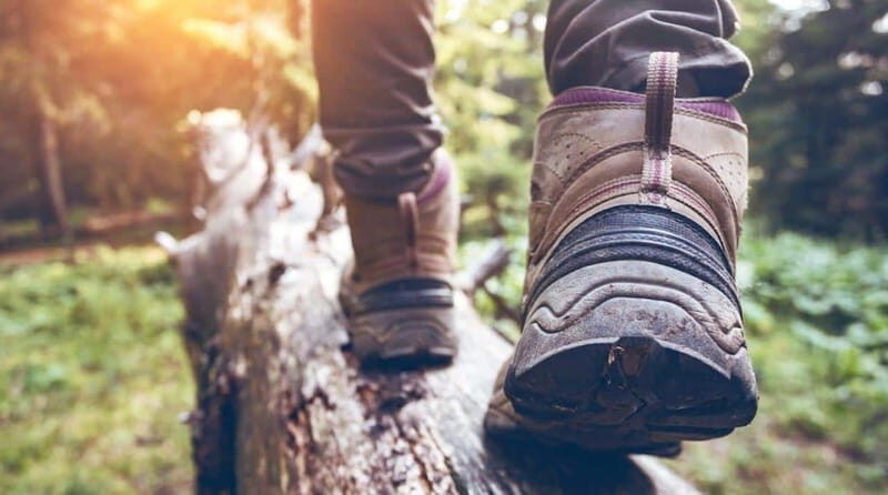 Kelowna: Guided Hiking Tour - The Itinerary Breakdown