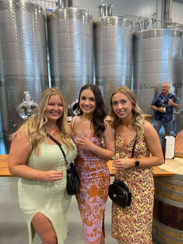 Kelowna: Mystery Full Day Guided Wine Tour - Transportation and Comfort