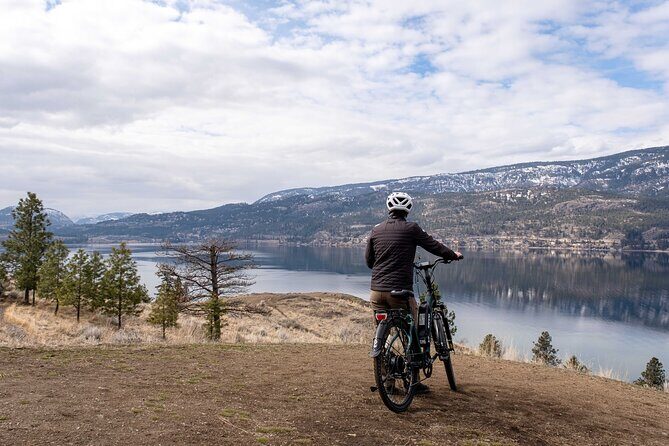 Kelowna: Okanagan Lake Views Guided E-Bike Tour with Picnic - Stop 2: A Picnic Overlooking the Lake