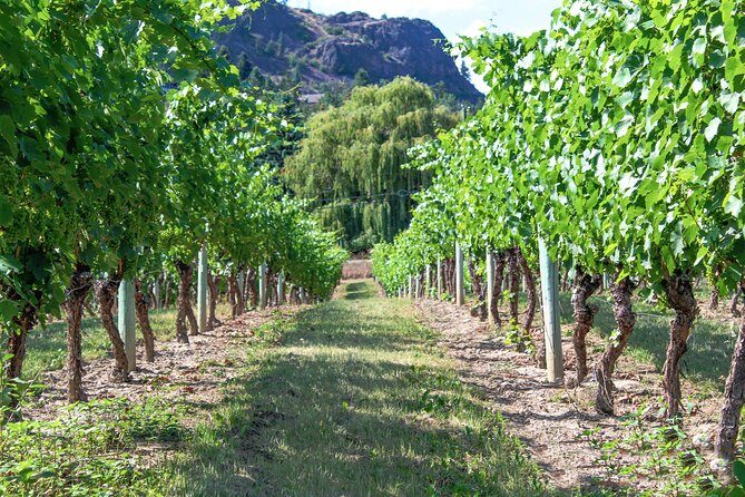 Kelowna or West Kelowna Afternoon Sightseeing Wine Tour - Practical Tips for Travelers