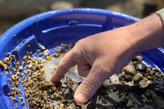 Kelowna Scenic Canyon Gold Panning Experience - An In-Depth Look at the Kelowna Scenic Canyon Gold Panning Experience