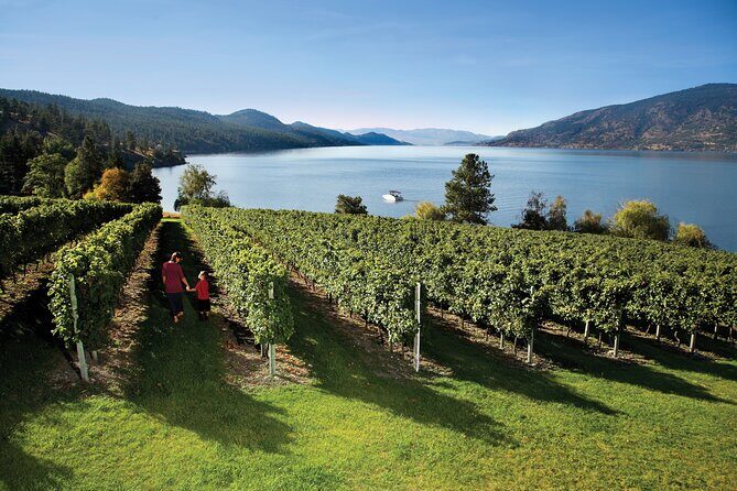 Kelowna South Slopes Wine Tour - 5 wineries on the tour - Key Points