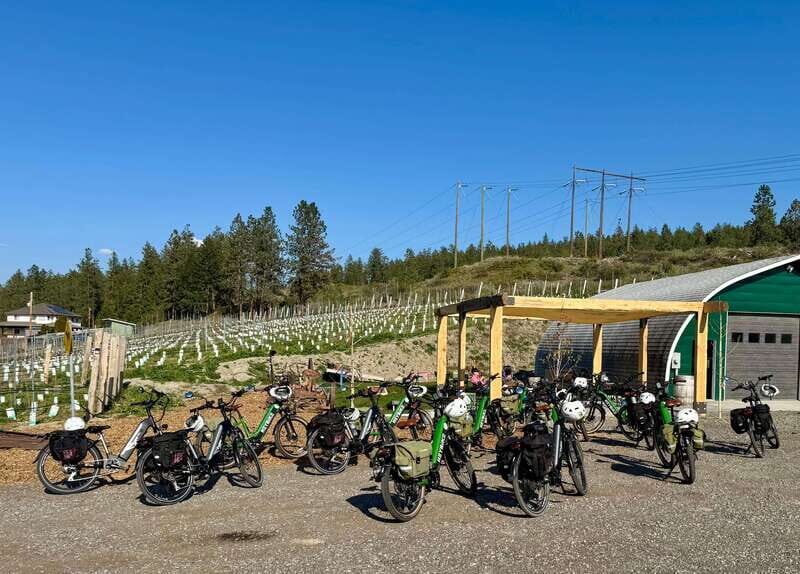 Kelowna: Wine Tasting by E-bike, Smartphone Guide & Lunch - A Closer Look at the Kelowna E-Bike Wine Tour