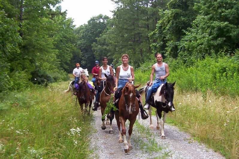 Kemer Horse Safari, pick up from Kiris, Beldibi, Goynuk - What to Expect from the Kemer Horse Safari