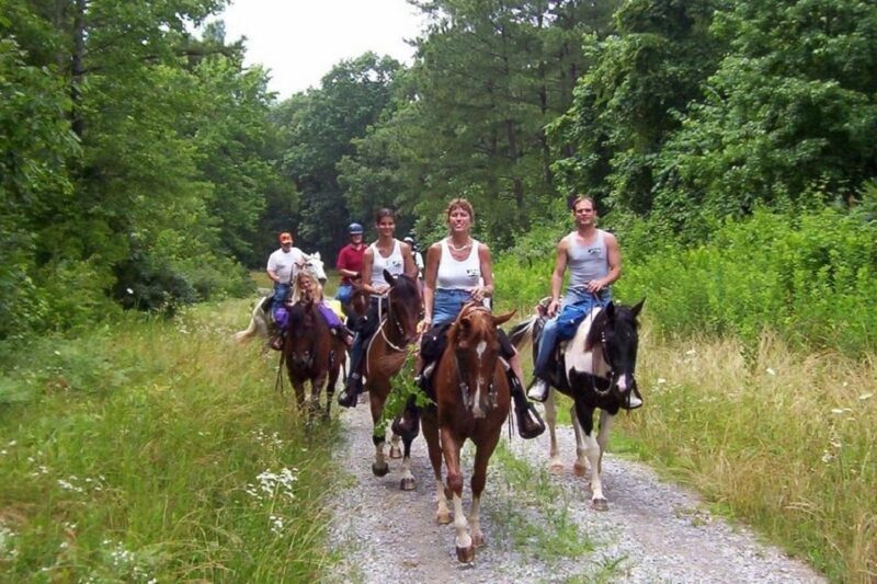 Kemer Horse Safari, pick up from Kiris, Beldibi, Goynuk - The Sum Up: Is the Kemer Horse Safari Worth It?