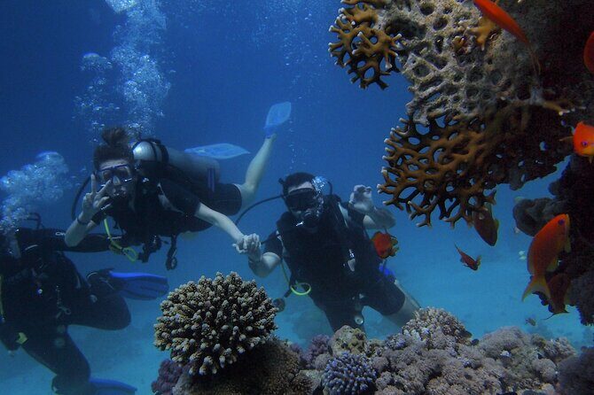 Kemer Scuba Diving Experience: Two Dives with Lunch - Who Should Consider This Tour?