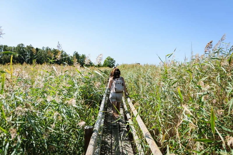 Kemeri National Park & Baltic Seaside Tour Bog Boardwalk - Final Thoughts