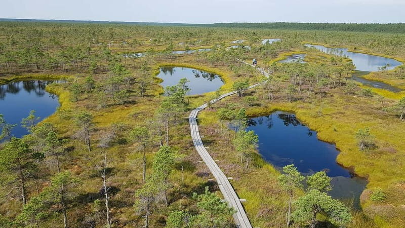 Kemeri National Park Bog Trail near Riga - Key Points